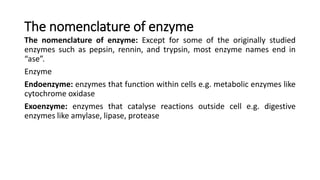 Enzyme.pptx