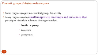 Enzyme.pdf