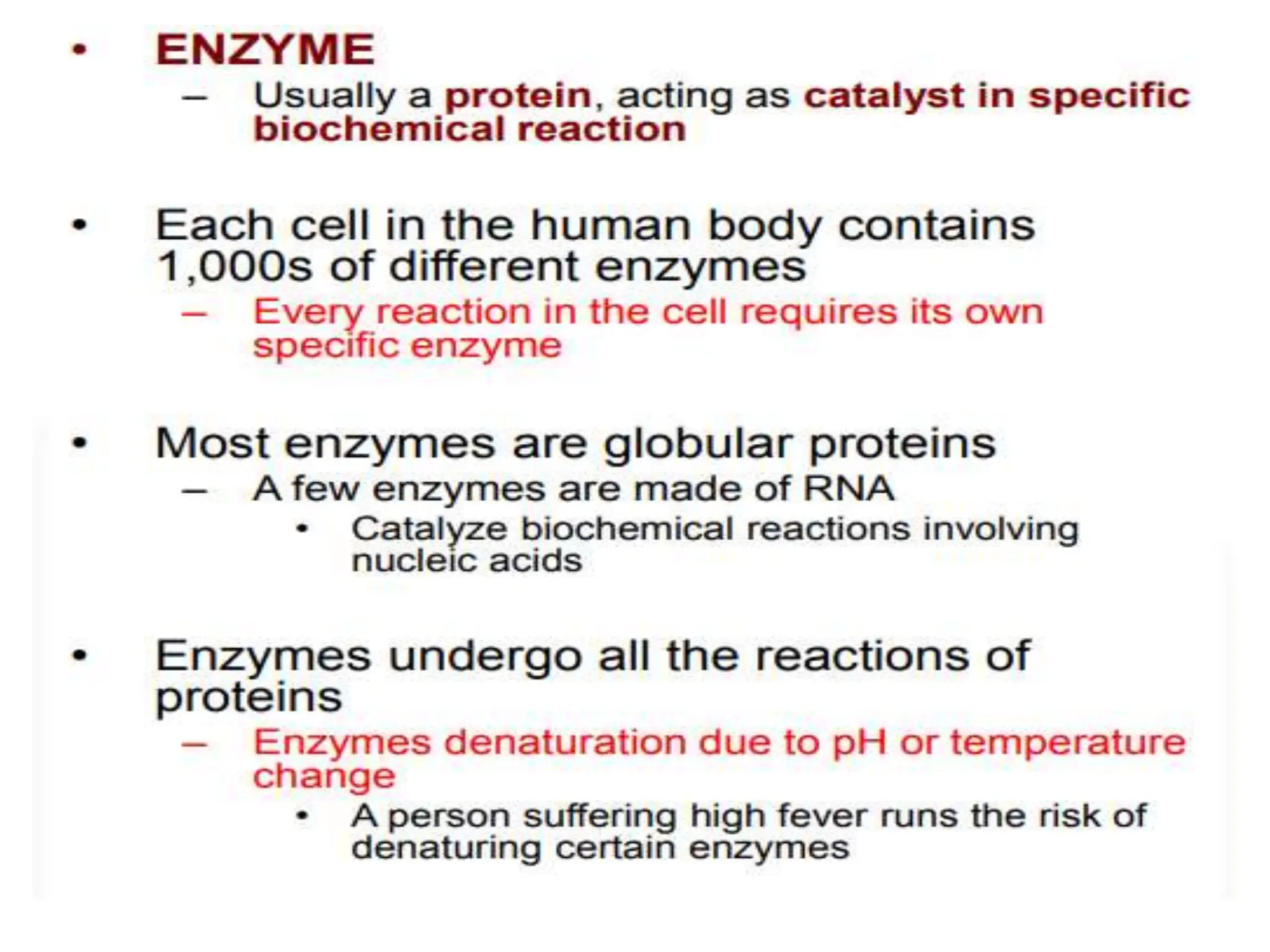 Enzyme.ppt all you want to know Enzyme Structure | PPT