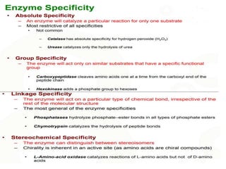 Enzyme.ppt all you want to know Enzyme Structure | PPT