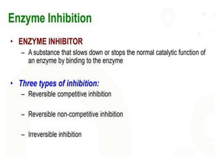 Enzyme.ppt all you want to know Enzyme Structure | PPT