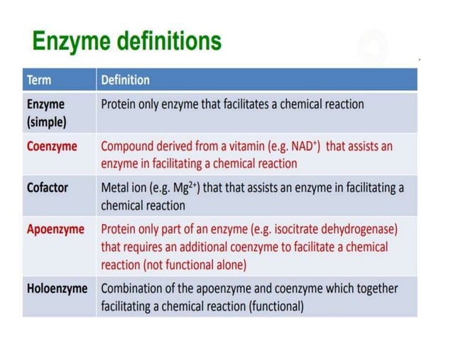 Enzyme.ppt all you want to know Enzyme Structure | PPT
