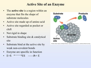 Enzyme. defination ,classification and application | PPT