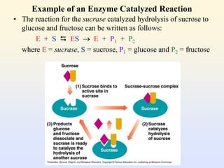 Enzyme. defination ,classification and application | PPT