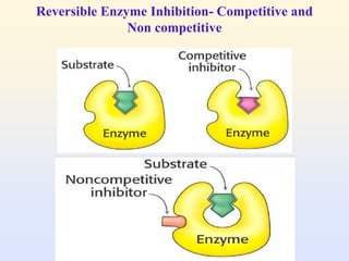 Enzyme. defination ,classification and application | PPT