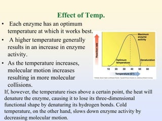 Enzyme. defination ,classification and application | PPT