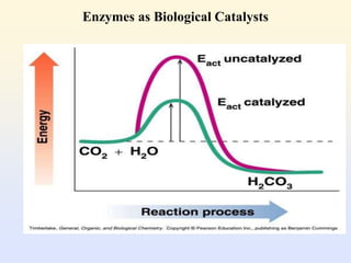 Enzyme. defination ,classification and application | PPT
