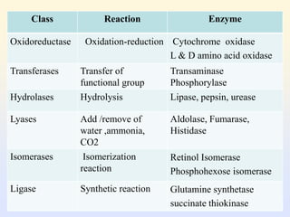 Enzyme. defination ,classification and application | PPT