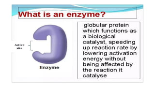 ENZYMEs, purpose, definition, enzymology | PPTX