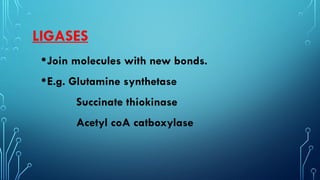 enzyme Nomenclature and classification of enzymes | PPTX