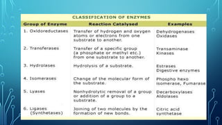 enzyme Nomenclature and classification of enzymes | PPTX