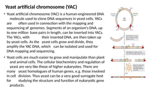 Enzyme and its pharmacology in human system | PPTX