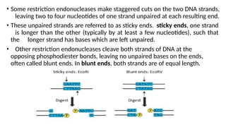 Enzyme and its pharmacology in human system | PPTX