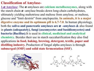 Enzyme amylases | PPTX
