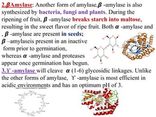 Enzyme amylases | PPTX
