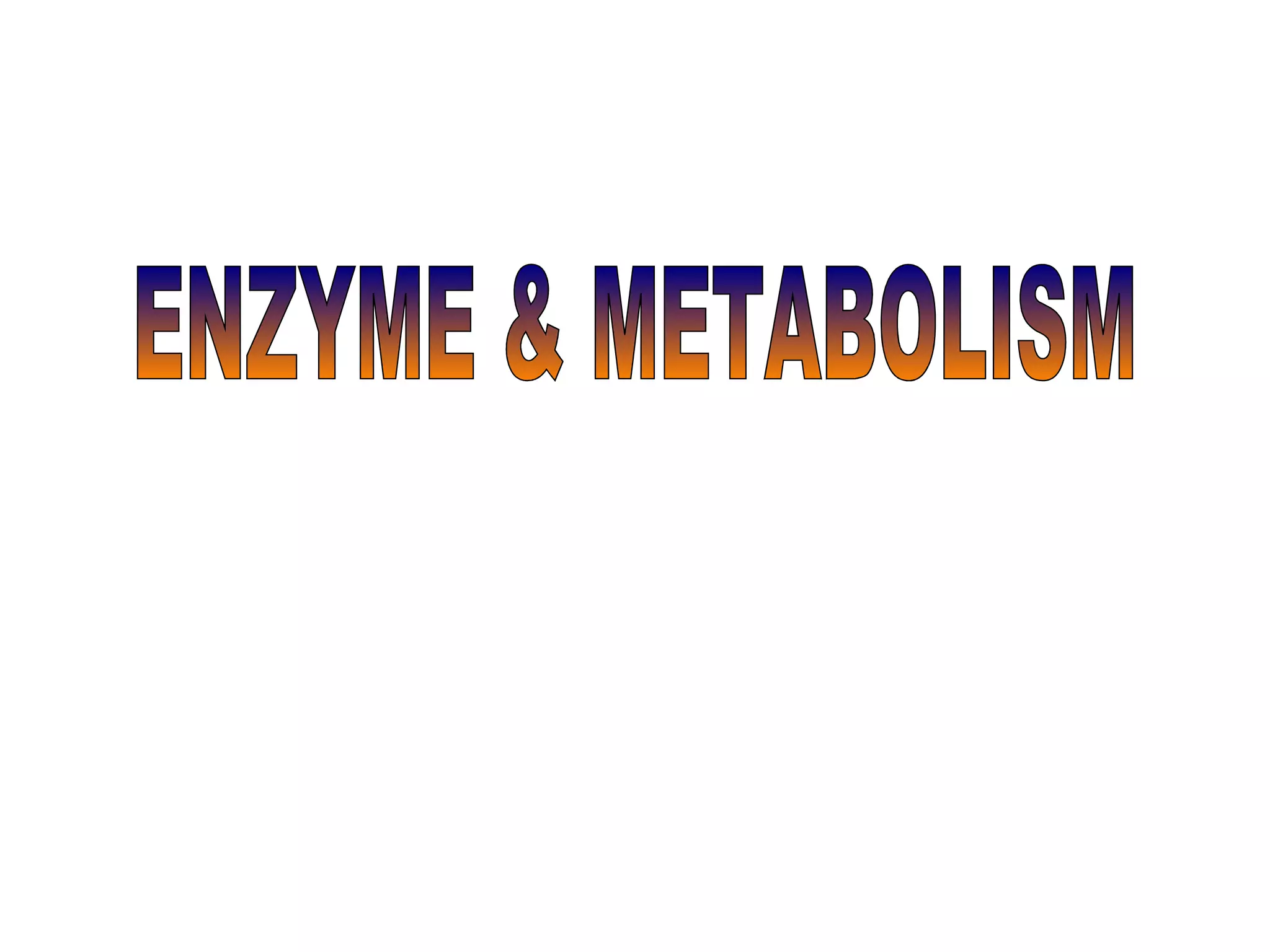Enzyme And Metabolism | PPT