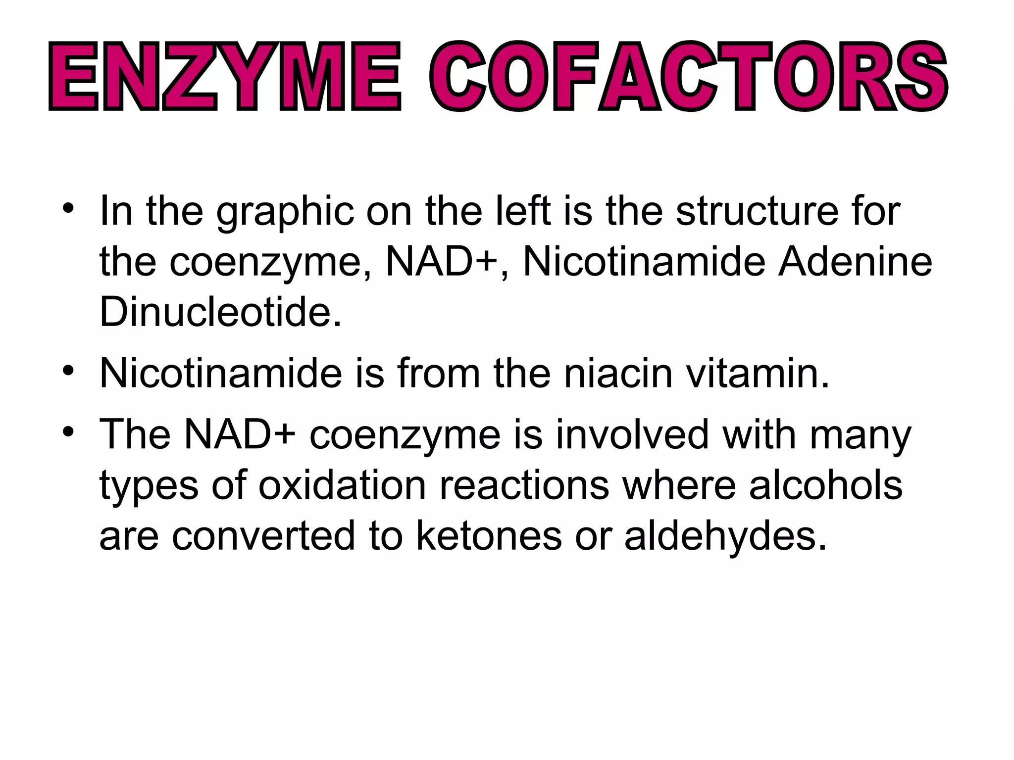 Enzyme And Metabolism | PPT