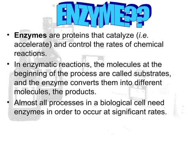 Enzyme And Metabolism | PPT | Chemistry | Science