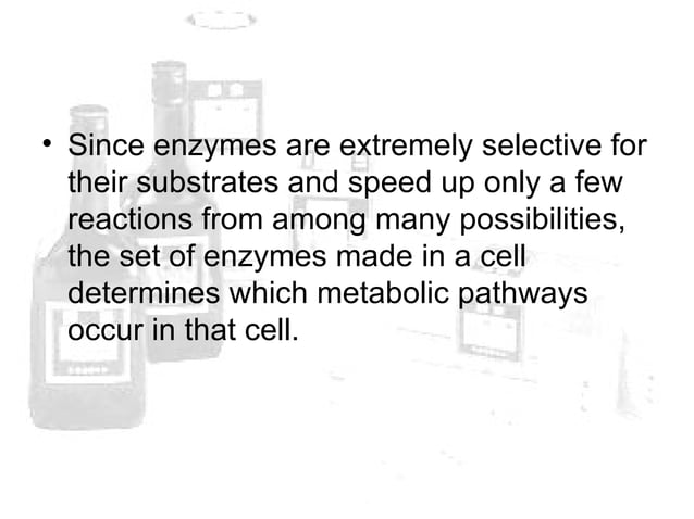 Enzyme And Metabolism | PPT | Chemistry | Science