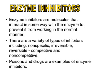 Enzyme And Metabolism | PPT