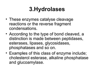 Enzyme And Metabolism | PPT