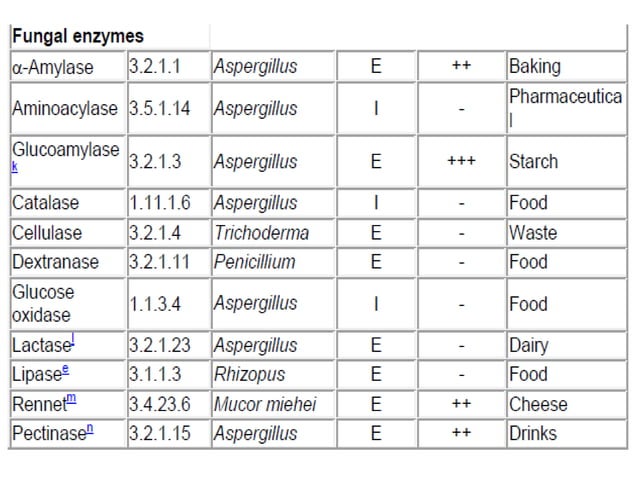 Enzyme-Engineering-Technology and Characterization | PPTX
