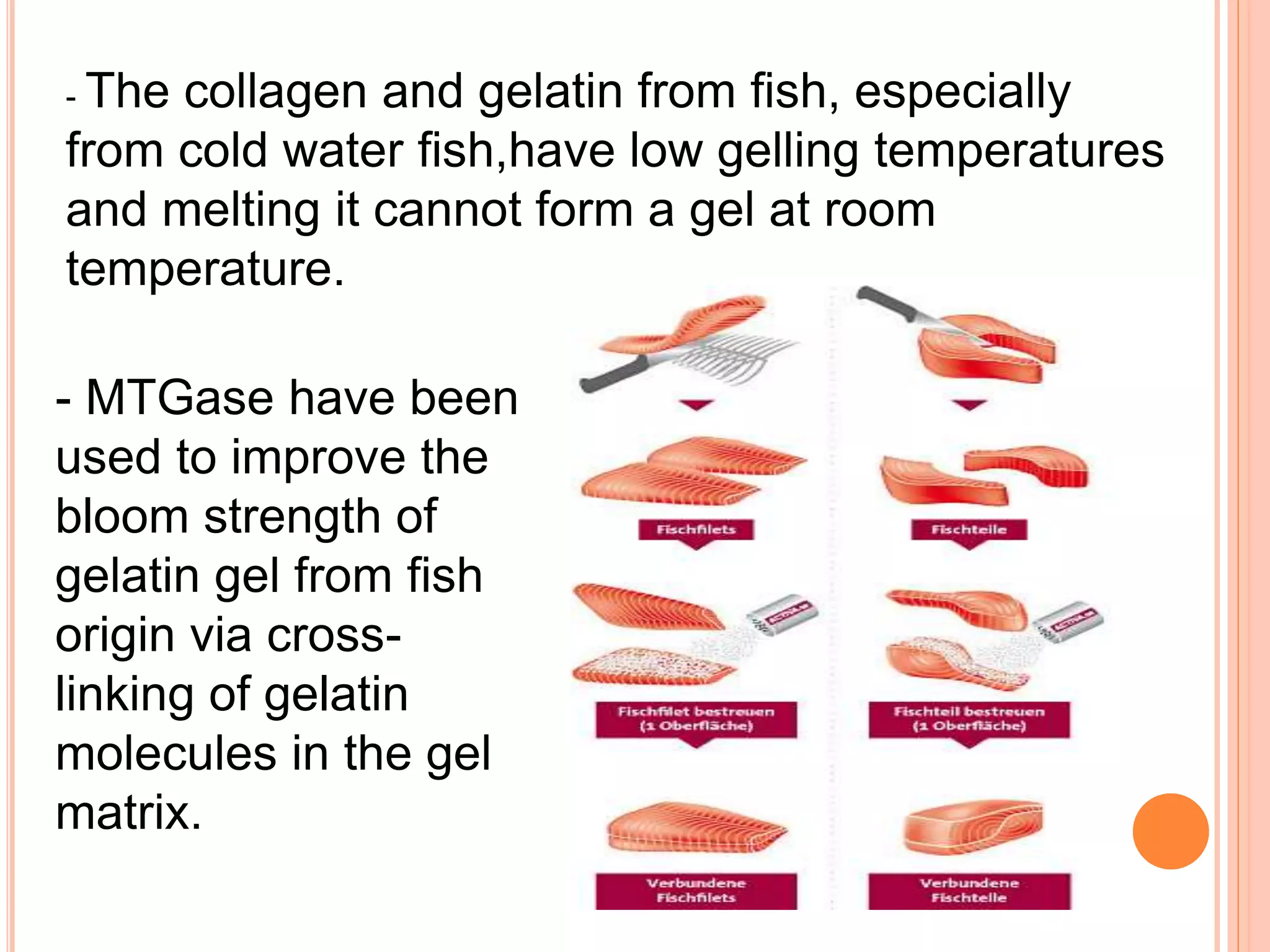 Enzyme in fish processing | PPTX