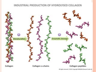 Enzyme in fish processing | PPTX