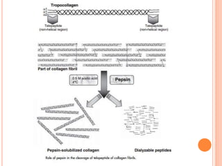 Enzyme in fish processing | PPTX