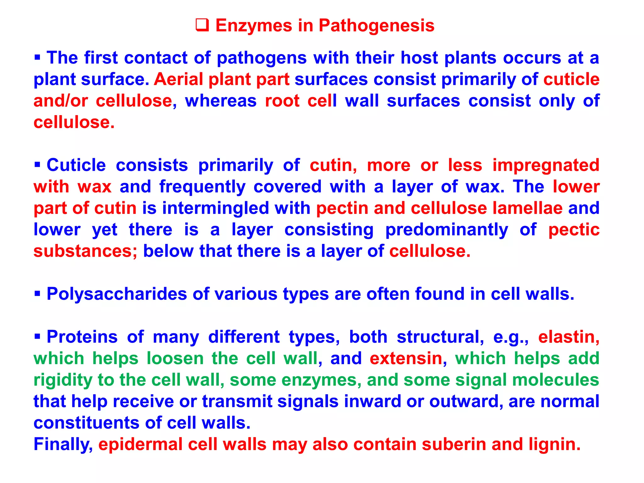 Role of enzymes in pathogenesis | PPT