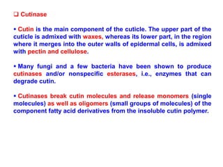 Role of enzymes in pathogenesis | PPT