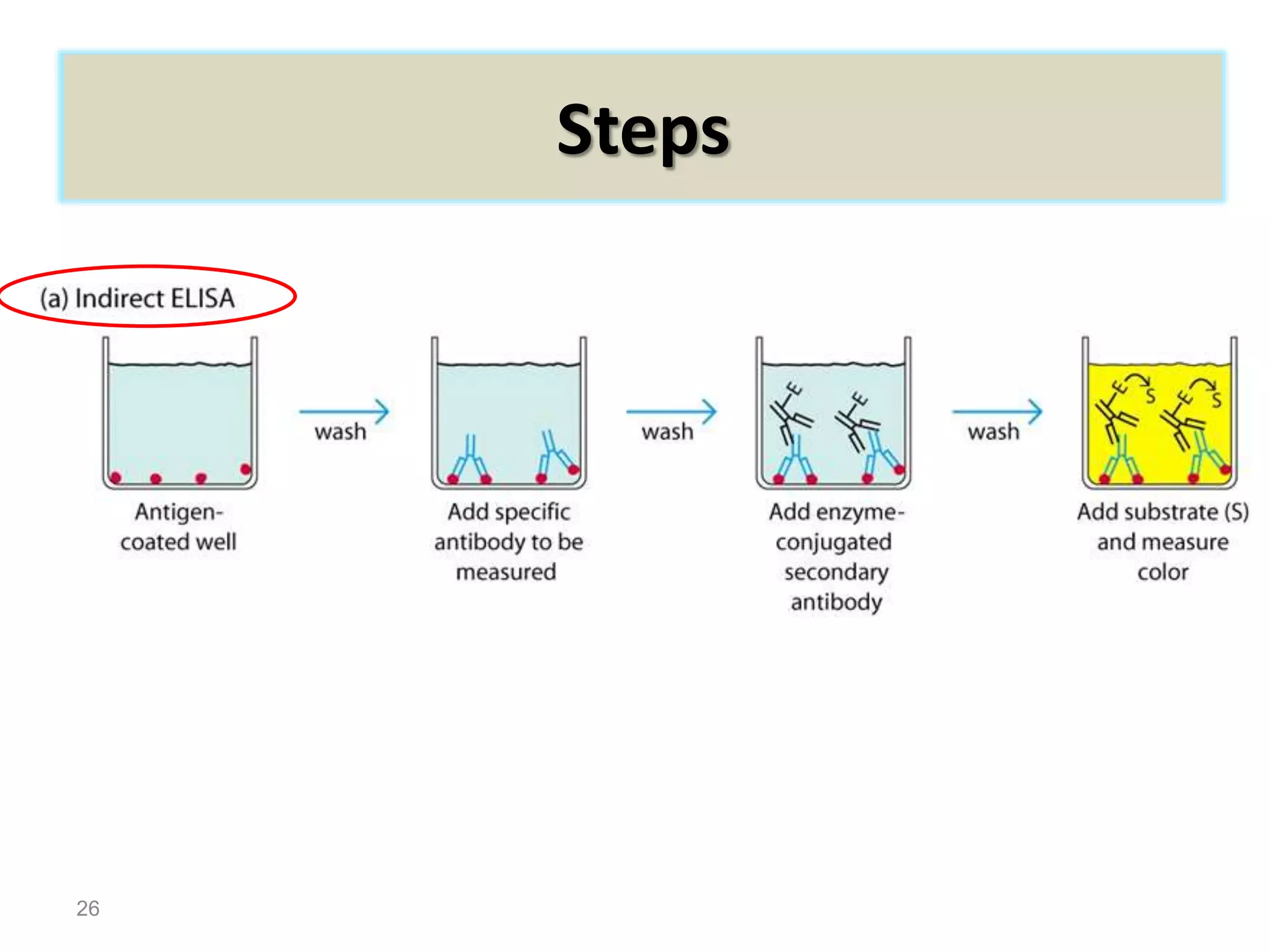 Enzyme linked immuno sorbant assay (ELISA)-amany_elshamy | PPT
