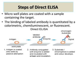 Enzyme linked immuno sorbant assay (ELISA)-amany_elshamy | PPT