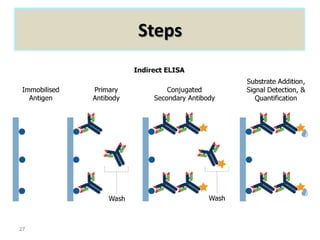 Enzyme linked immuno sorbant assay (ELISA)-amany_elshamy | PPT