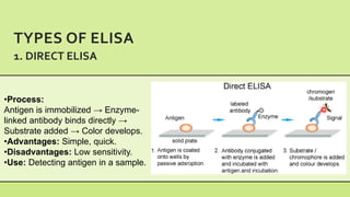 enzyme-linked immunosorbent assay- ELISA.pdf