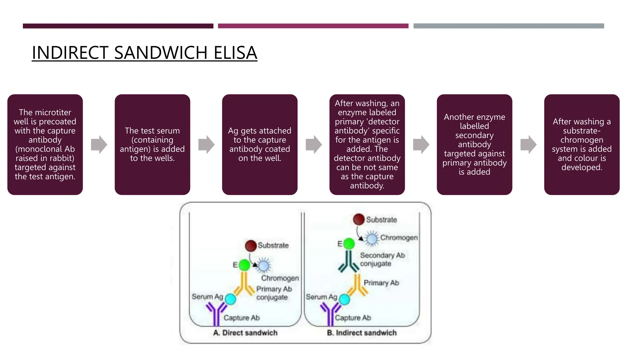 Enzyme-Linked Immunosorbent Assay (ELISA).pptx