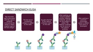 Enzyme-Linked Immunosorbent Assay (ELISA).pptx