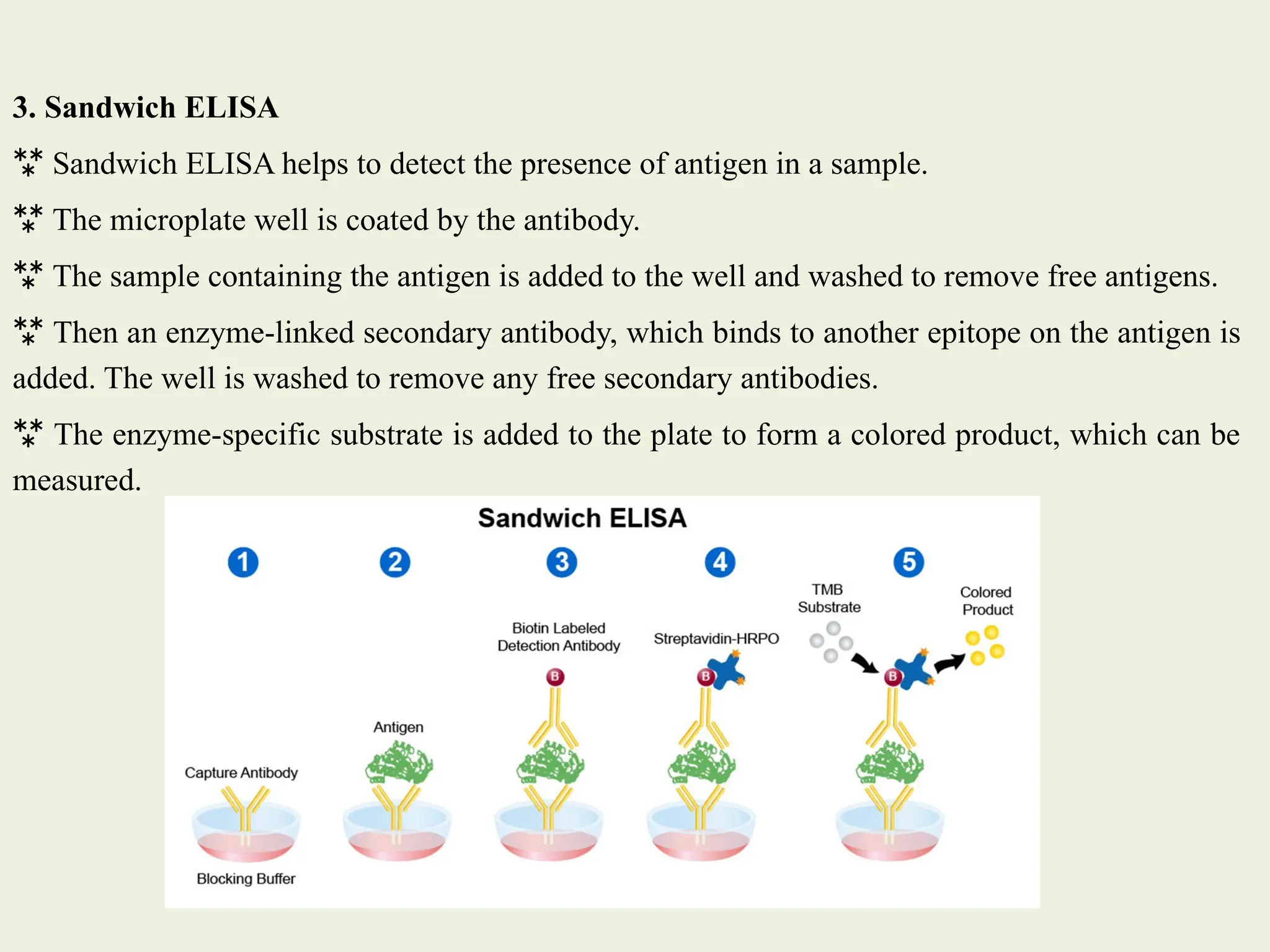 Enzyme-Linked Immunosorbent Assay [ELISA].pptx