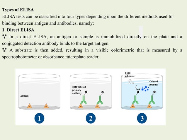 Enzyme Linked Immunosorbent Assay [elisa] Pptx