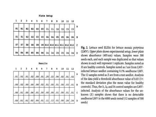 Enzyme-Linked Immunosorbent Assay (ELISA) Methods to.pptx