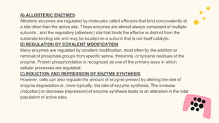 ENZYME - by rahil (ciu) | PPT