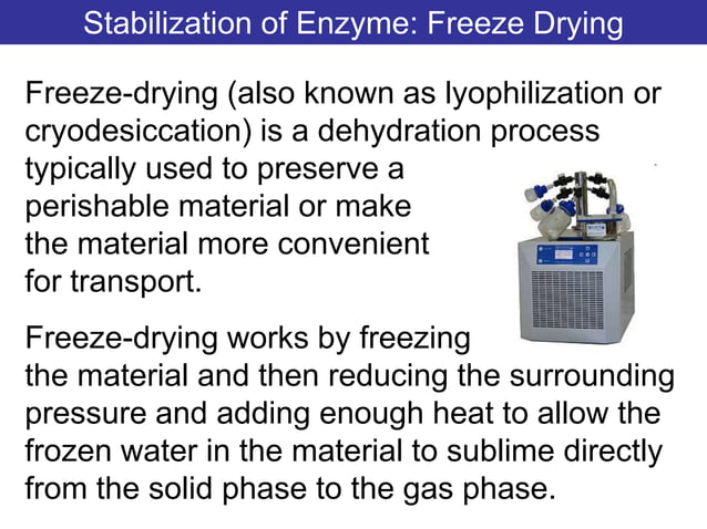 Enzyme-stabilization.ppt