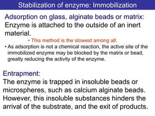 Enzyme-stabilization.ppt