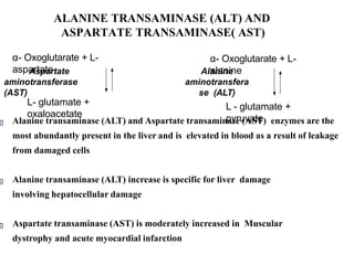 Enzyme - uses.pptx