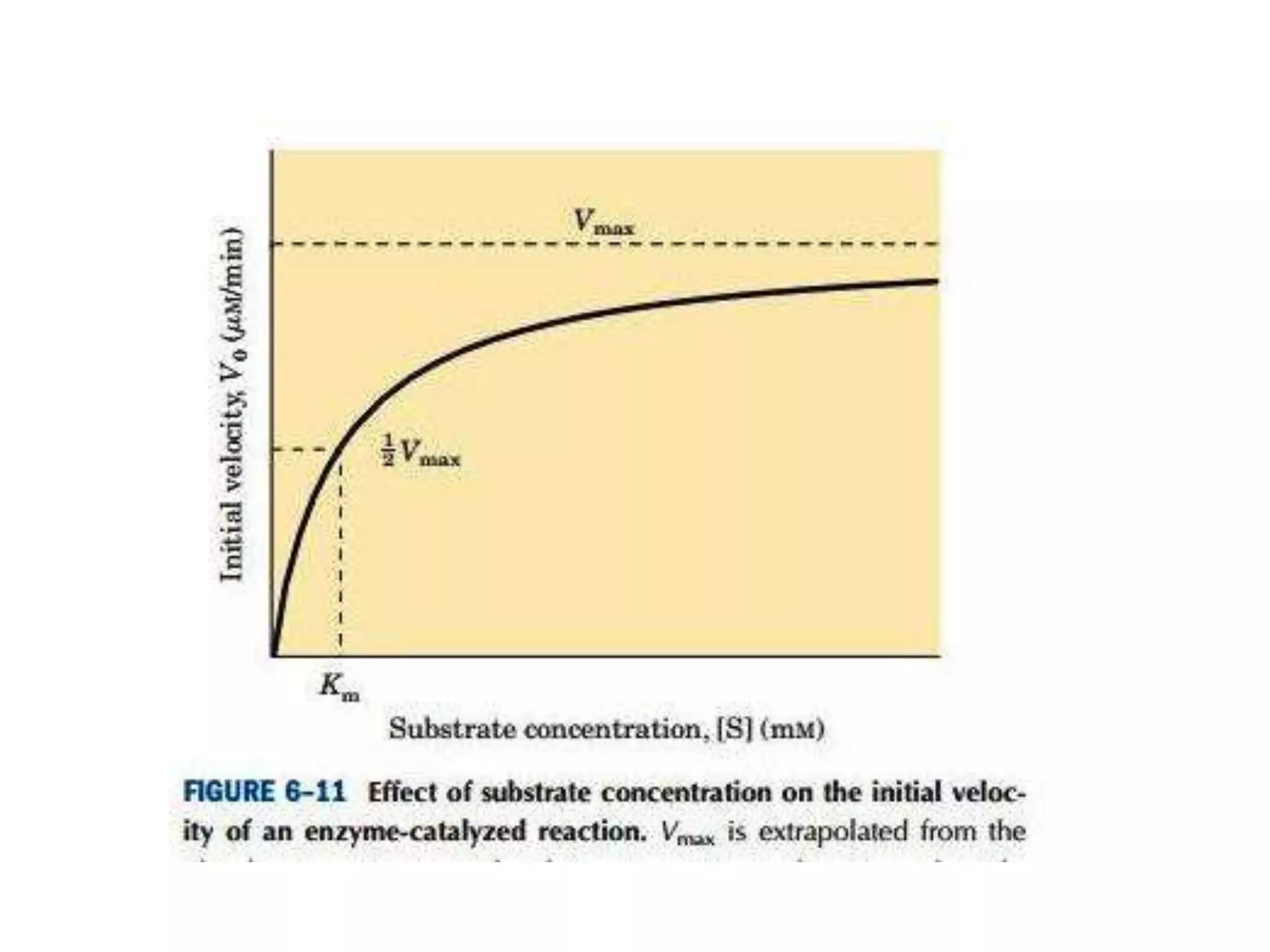 Enzyme kinetics | PPTX