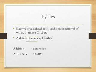 Enzyme ppt | PPTX