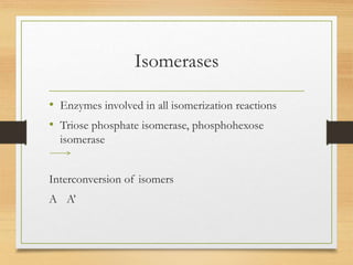 Enzyme ppt | PPTX