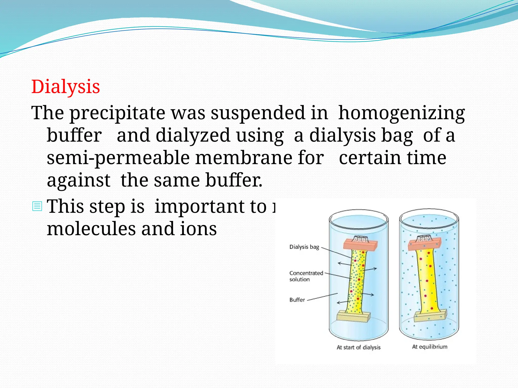 enzyme 10 enzyme isolation and purificatin.pptx