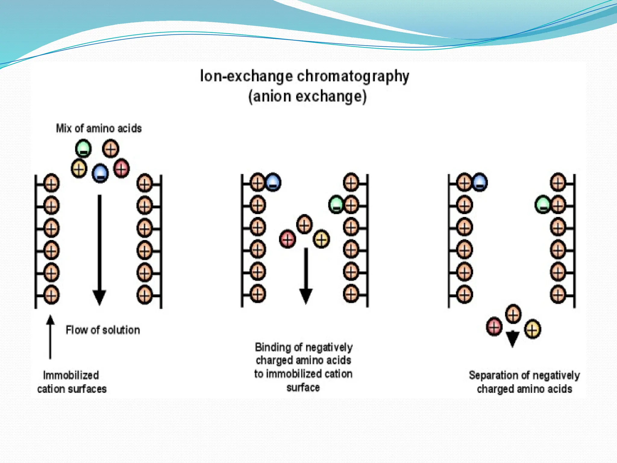 enzyme 10 enzyme isolation and purificatin.pptx
