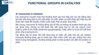 Enzyme 1 (1).pptx